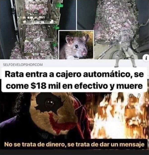 Top memes de Ratas en español :) Memedroid
