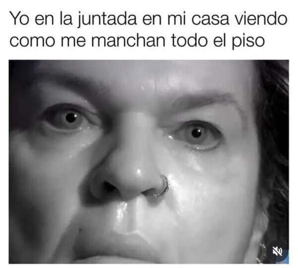 Los Últimos Memes :) Memedroid