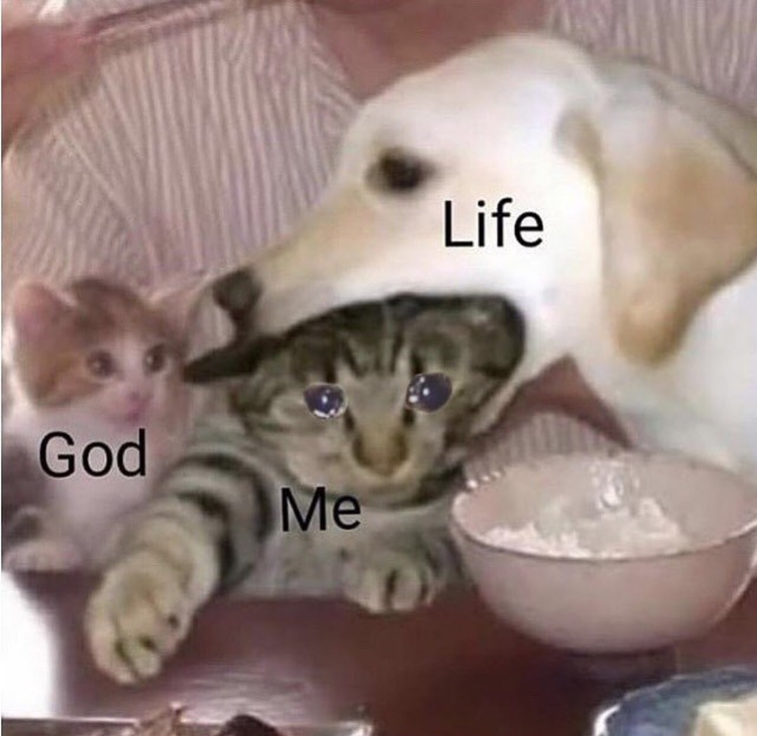 catto - Meme by PennyLswafford :) Memedroid