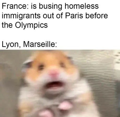The best France memes :) Memedroid