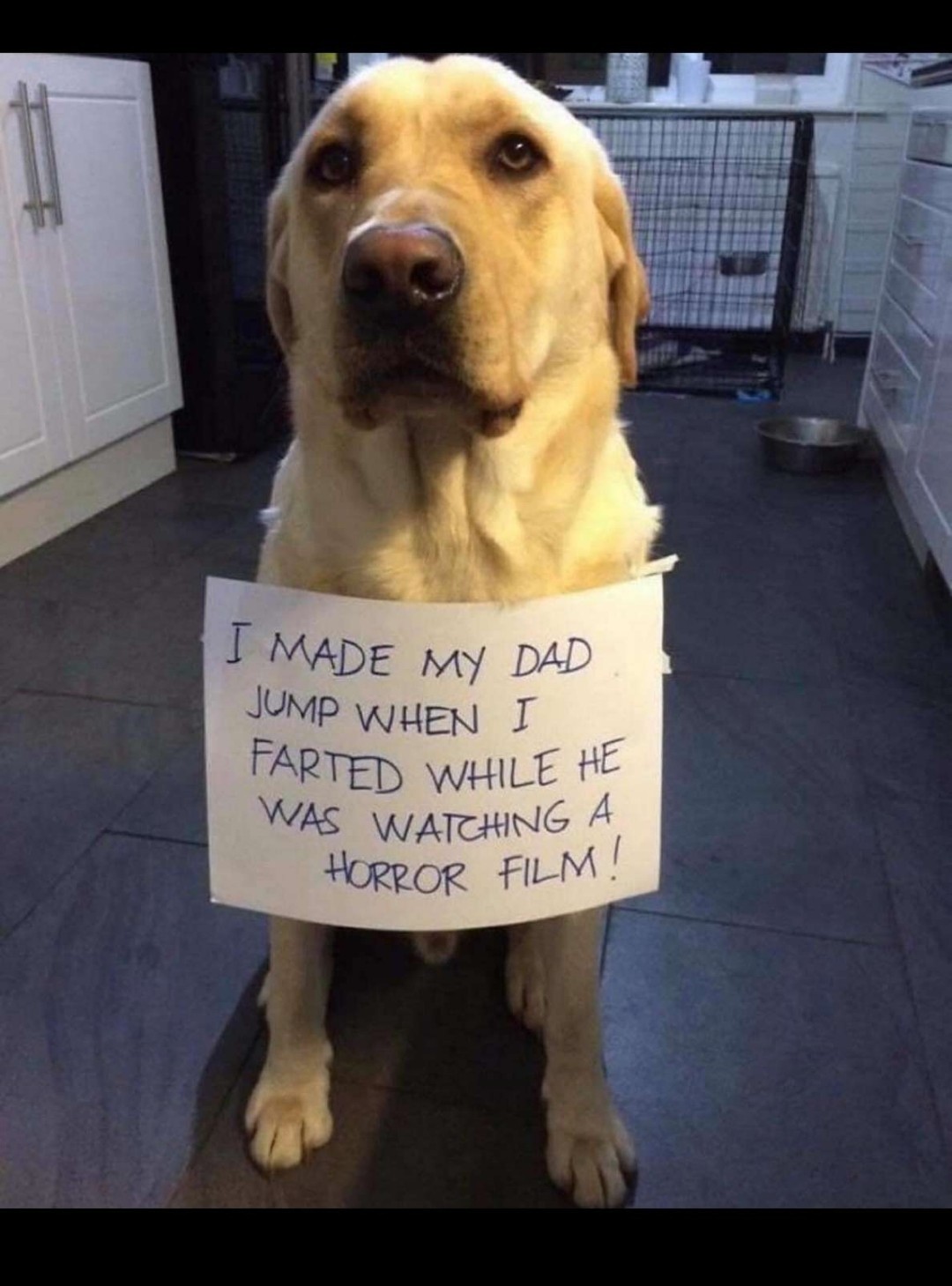 Insert jump scare - Meme by Edward.nygma :) Memedroid