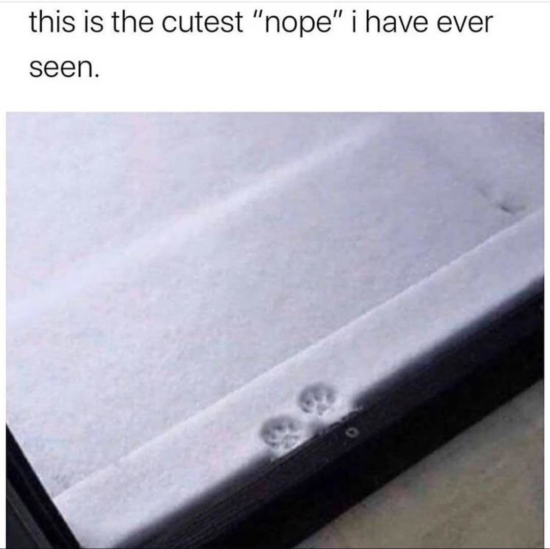 The best Nope memes :) Memedroid