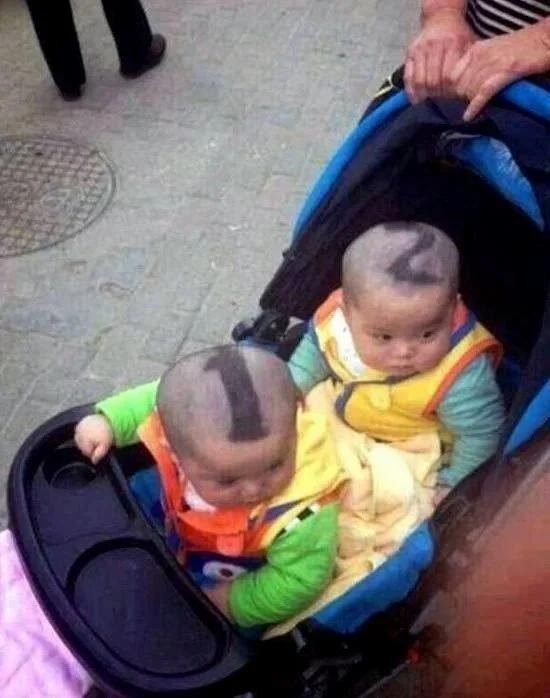 The best Twins memes :) Memedroid