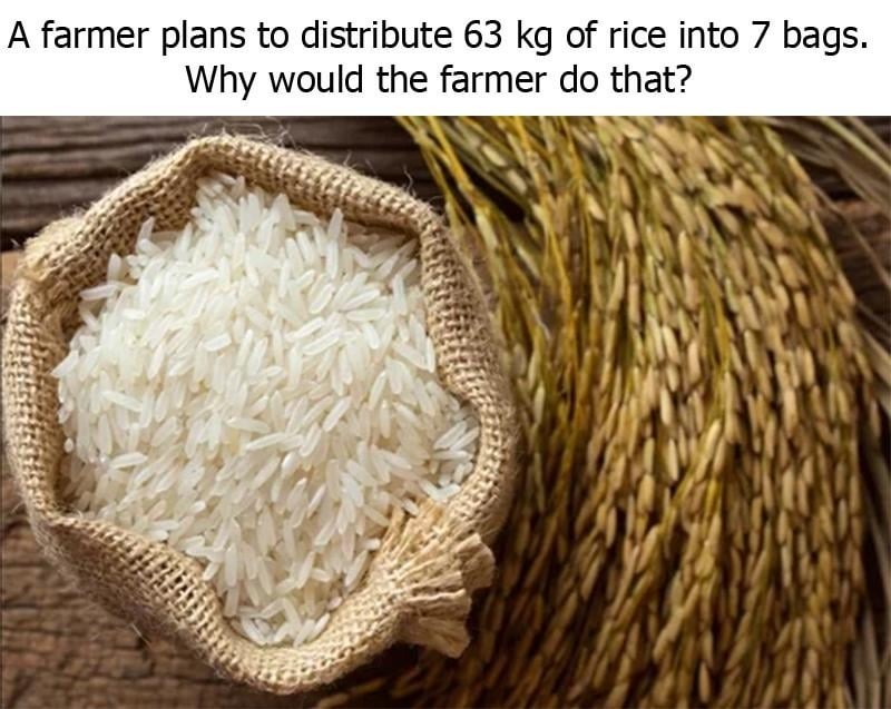 The best Rice memes :) Memedroid