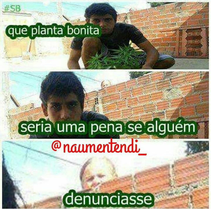 Seria uma pena msm - Meme by Fortes :) Memedroid