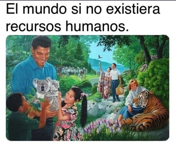 Los Últimos Memes :) Memedroid