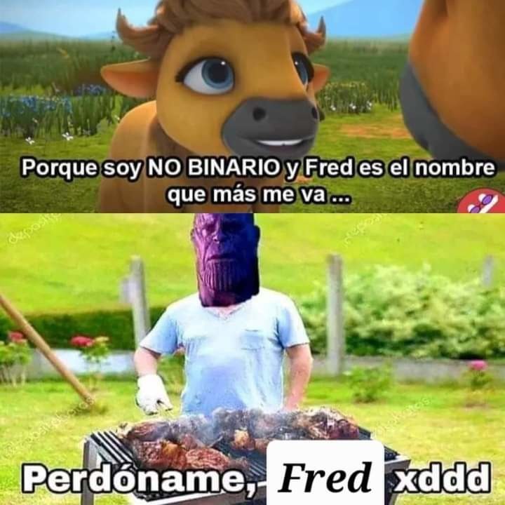 Últimos memes :) Memedroid