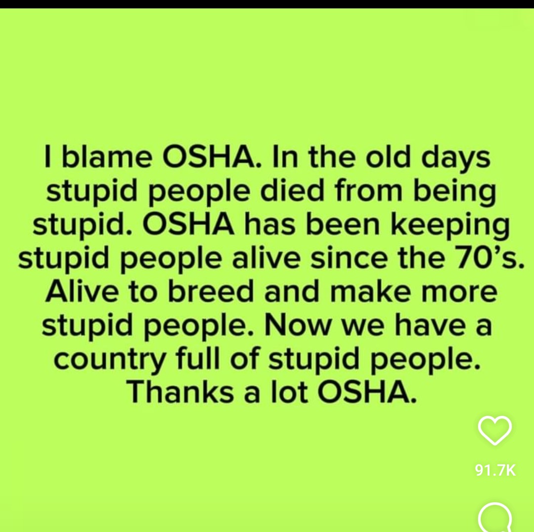 The Latest Memes :) Memedroid