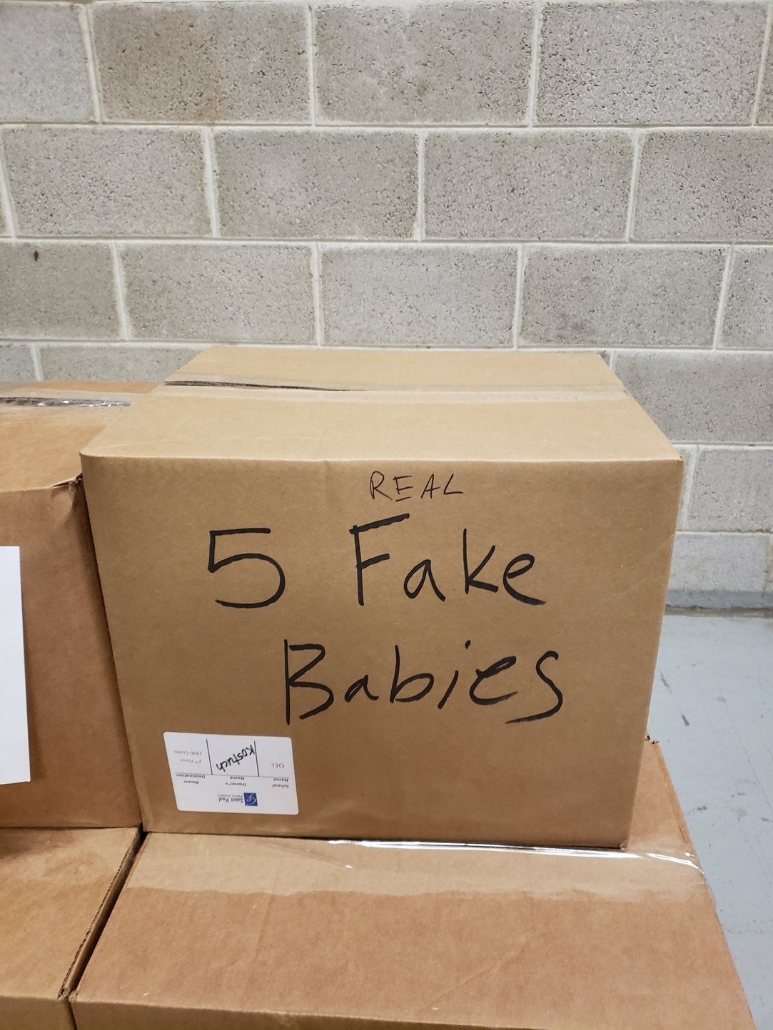 Authentic - Meme by Jonasp123 :) Memedroid