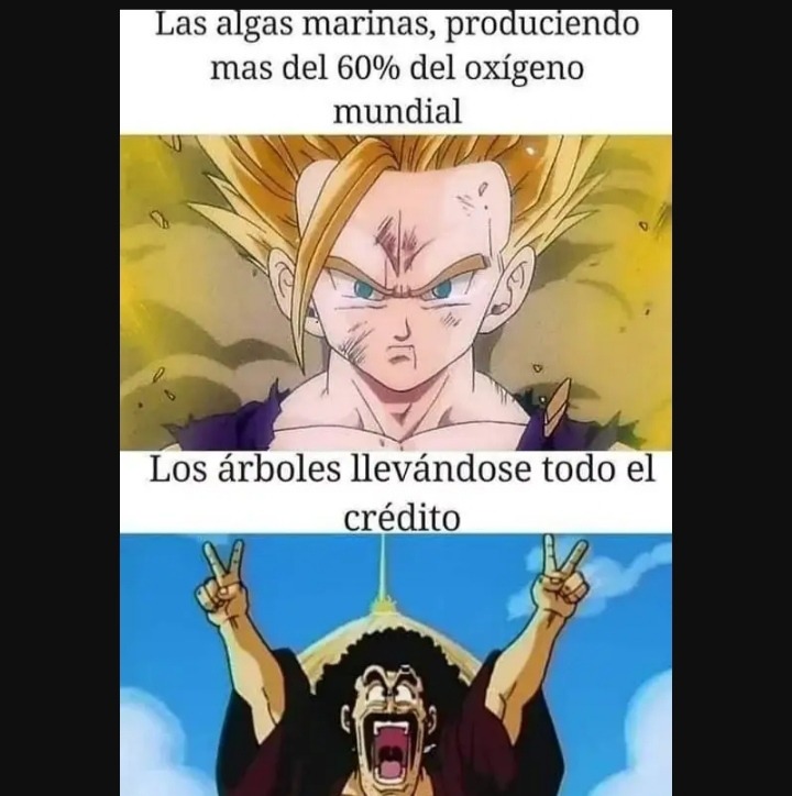 Mi primera subida - Meme subido por ELPAPADETUPAC-_08 :) Memedroid