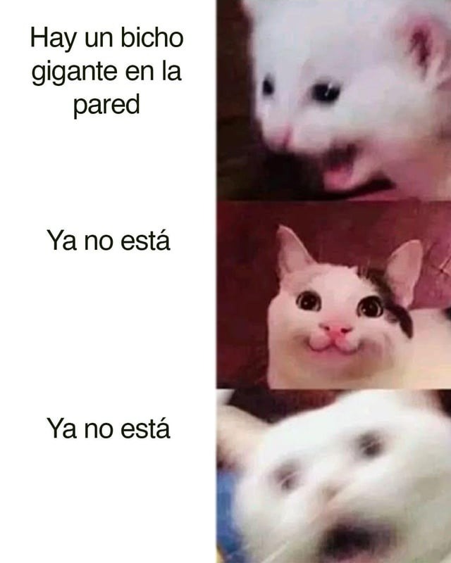 Los Últimos Memes :) Memedroid