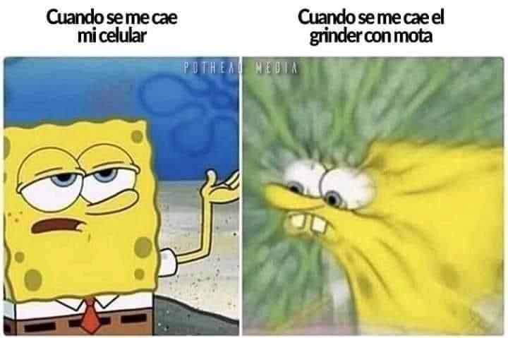 Top memes de Ahree en español :) Memedroid
