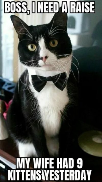 Funny Approval Memes Today I Enjoyed Making This Meme About The FB