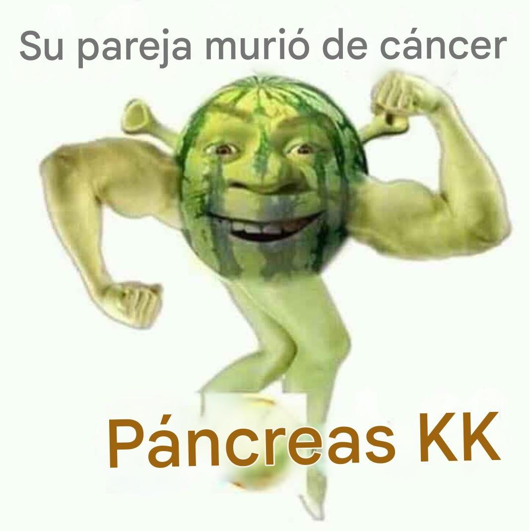 Top memes de Shrek Sandia en español :) Memedroid