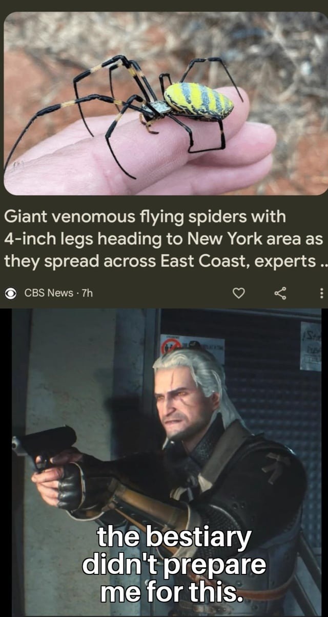 Shooting Spider Meme Spider Man Comes Down On His Spider Web.