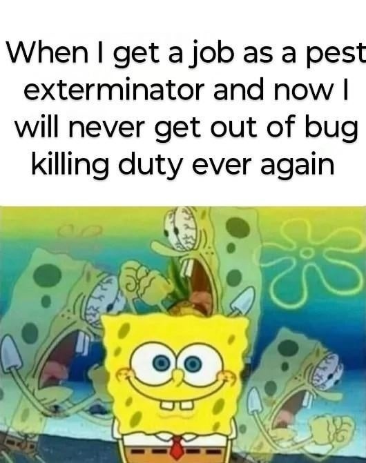 The best Bugs memes :) Memedroid