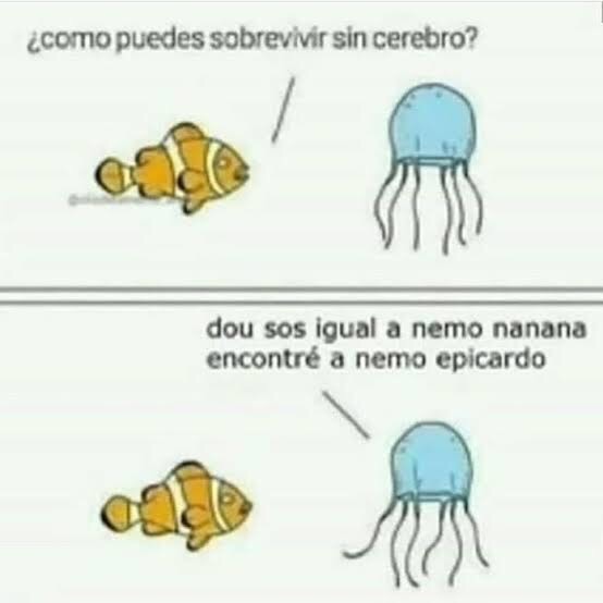 dou - Meme by deleted_8baf8ce61f1 :) Memedroid