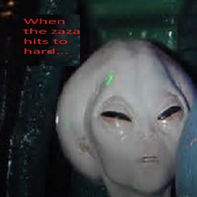 The Latest Memes :) Memedroid