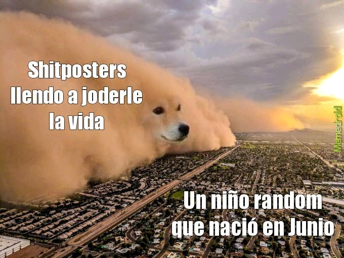 Que app usan para hacer memes? Ya me cansé de usar meme factory - Meme ...