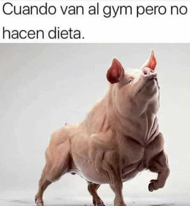 Gimnasio sin dieta - Meme subido por Ezekeli :) Memedroid
