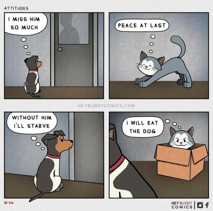 The best Comic memes :) Memedroid