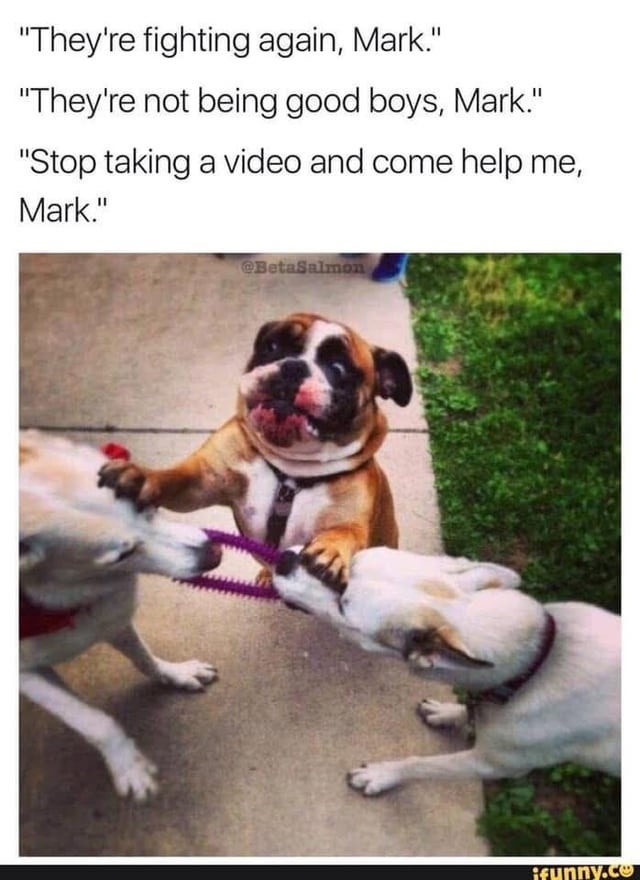 The best Mark memes :) Memedroid