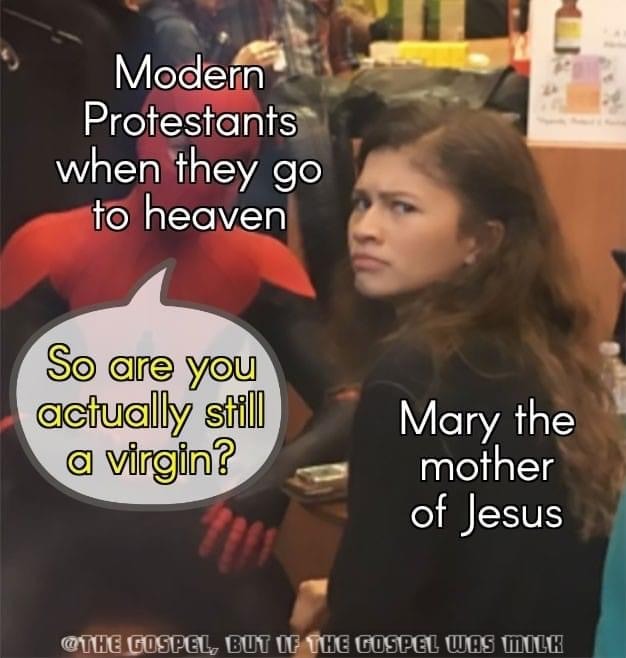 The best Prots memes :) Memedroid