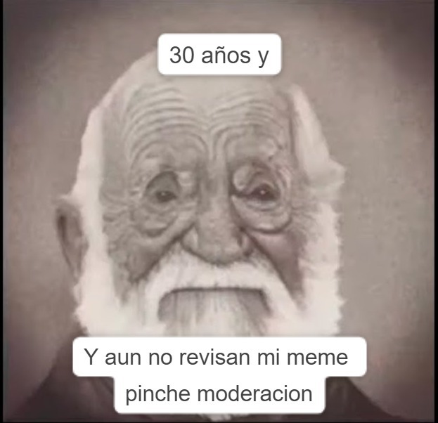 akkoMemes :) Memedroid