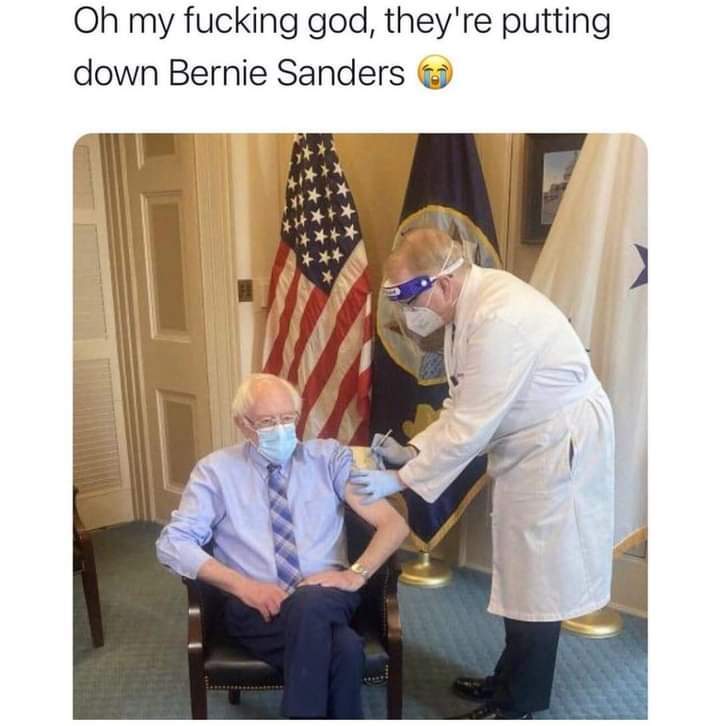RIP sweet Bernie bros - Meme by SocialismKills :) Memedroid