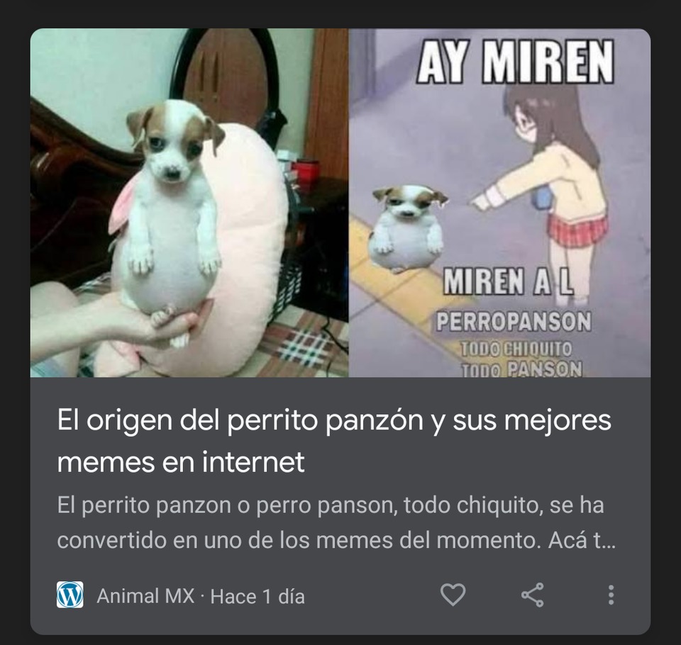 Doge: Jonathan Cheems: Joseph Big Floopa: Jotaro Pana Miguel: Josuke ...