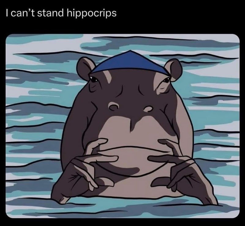 The best Hippo memes :) Memedroid