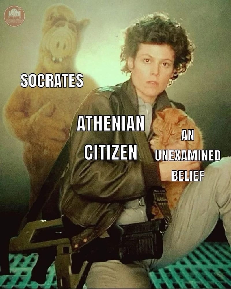 The best Socrates memes :) Memedroid