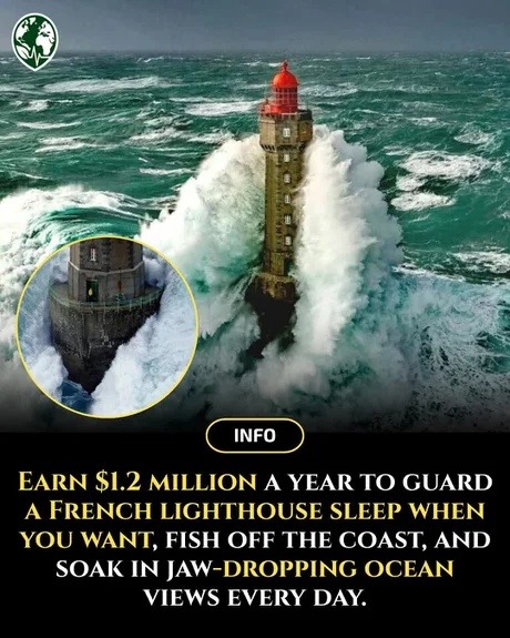 The best France memes :) Memedroid