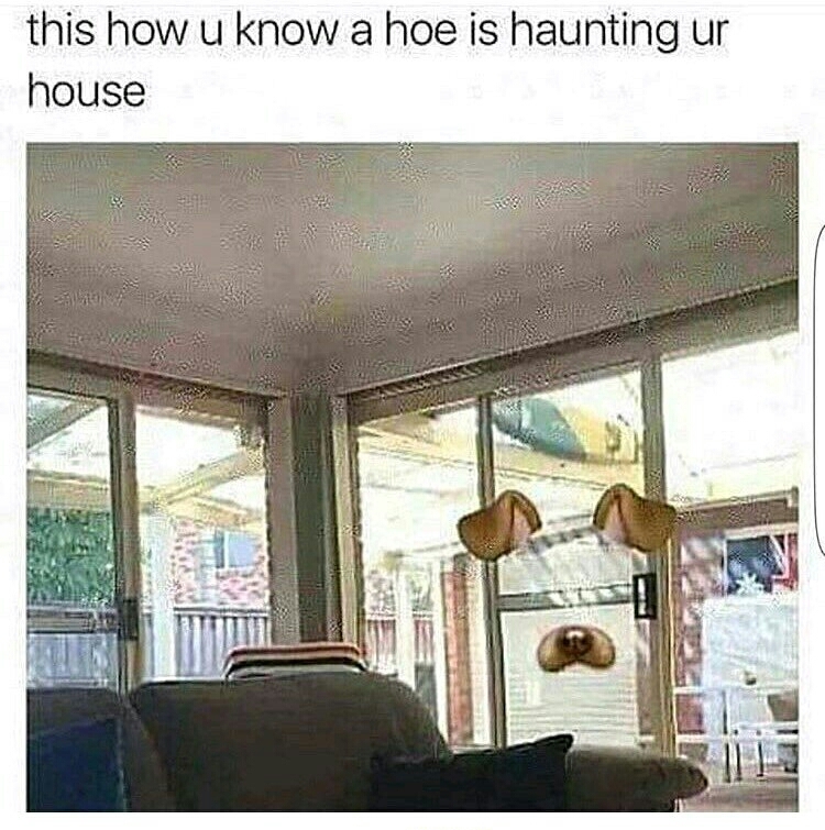 Follow for follow - Meme by Tweet :) Memedroid