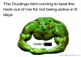 The best pocat memes :) Memedroid