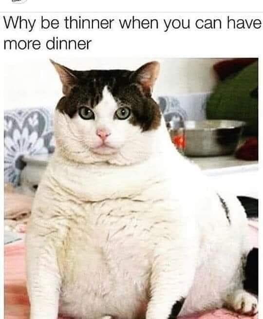 The best Dinner memes :) Memedroid