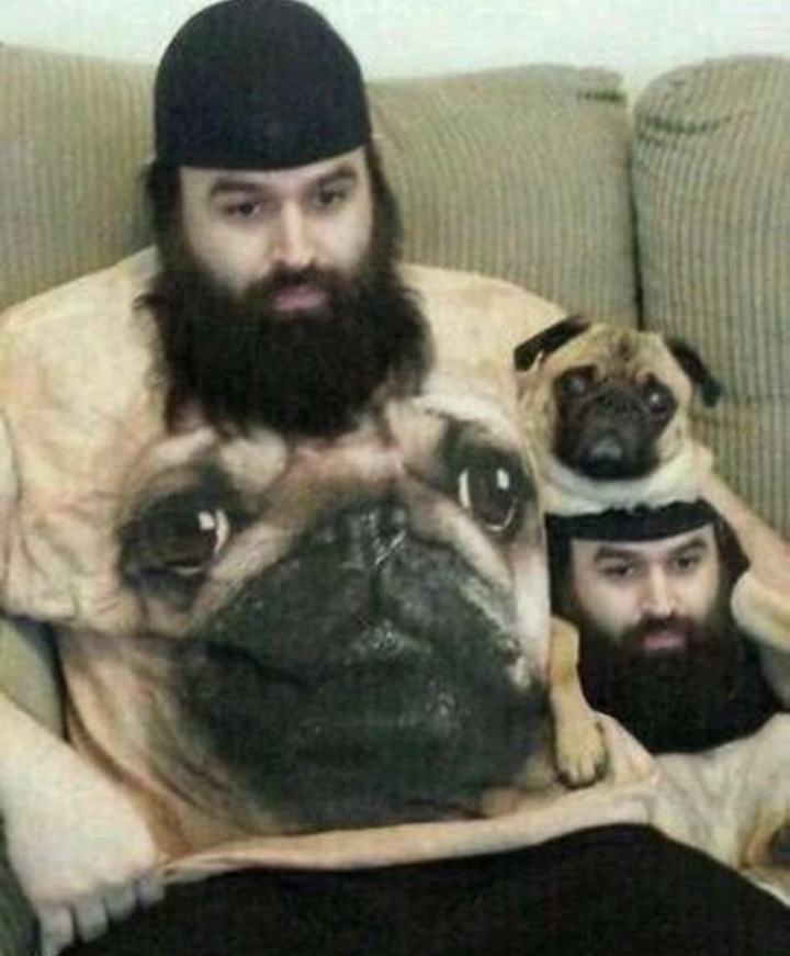 El perro: - Meme by puglegendario :) Memedroid