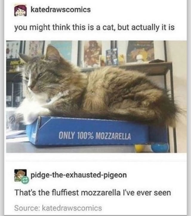 The best Mozzarella memes :) Memedroid