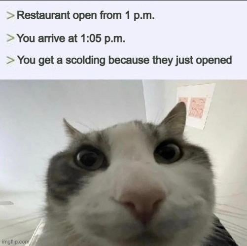 The best Scolded memes :) Memedroid