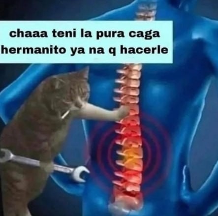 Memes De Que Dolor