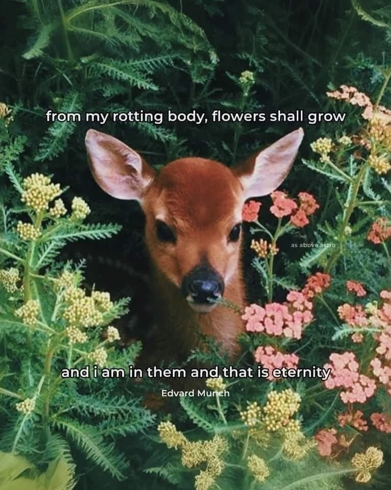 The best Eternity memes :) Memedroid