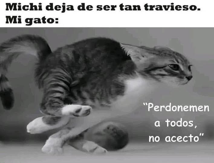 Los Últimos Memes :) Memedroid