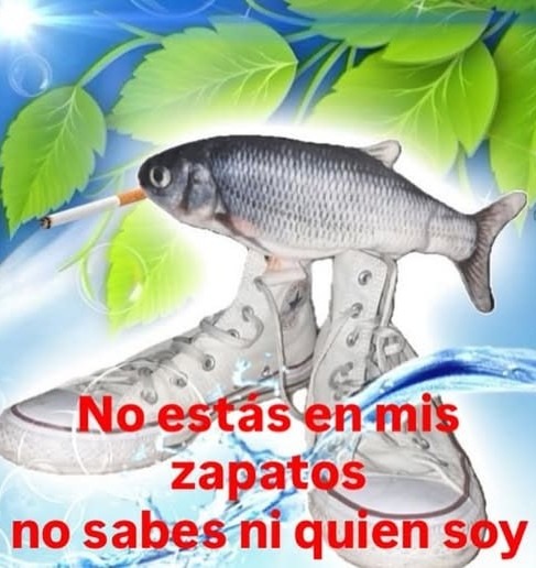 Top memes de Zapatos en español :) Memedroid