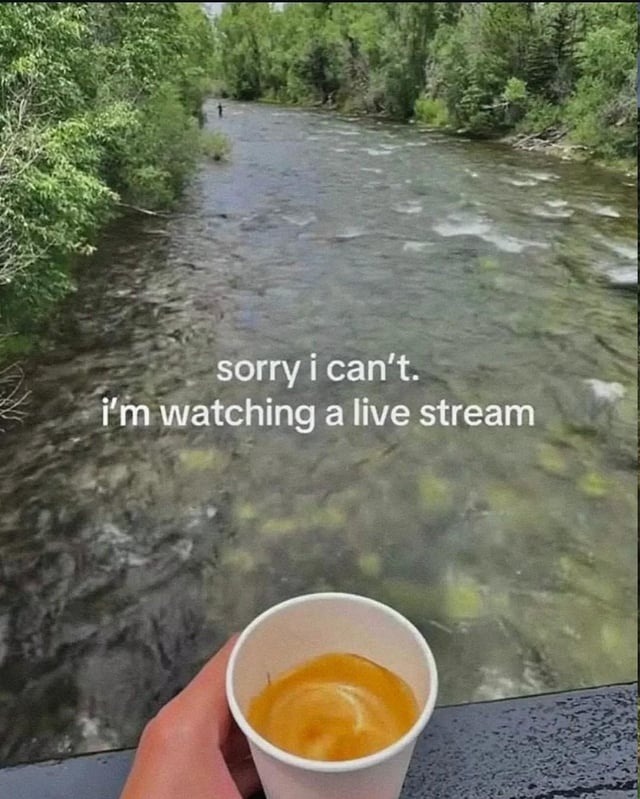 The best Watching memes :) Memedroid