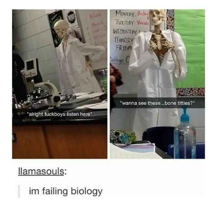 Boned - Meme by TheMemeMachine69_V.2 :) Memedroid