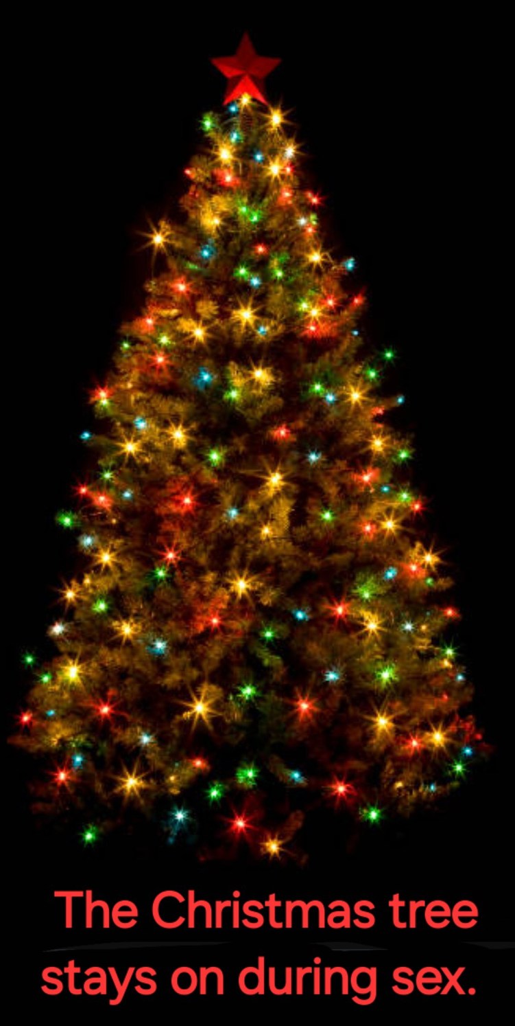 Christmas Tree Ocd Memes I Can Has Cheezburger? Christmas Memes