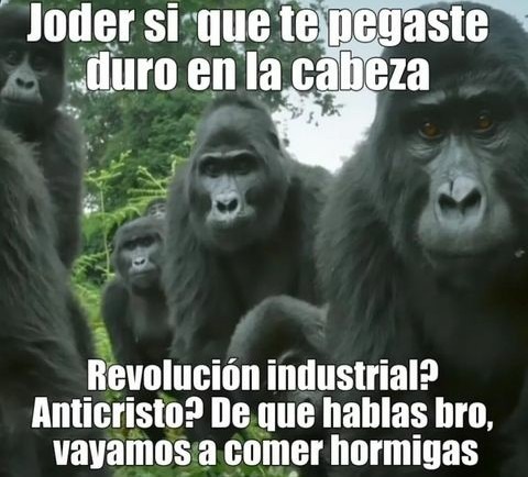 Título generico - Meme subido por _Memes_facheros_ :) Memedroid