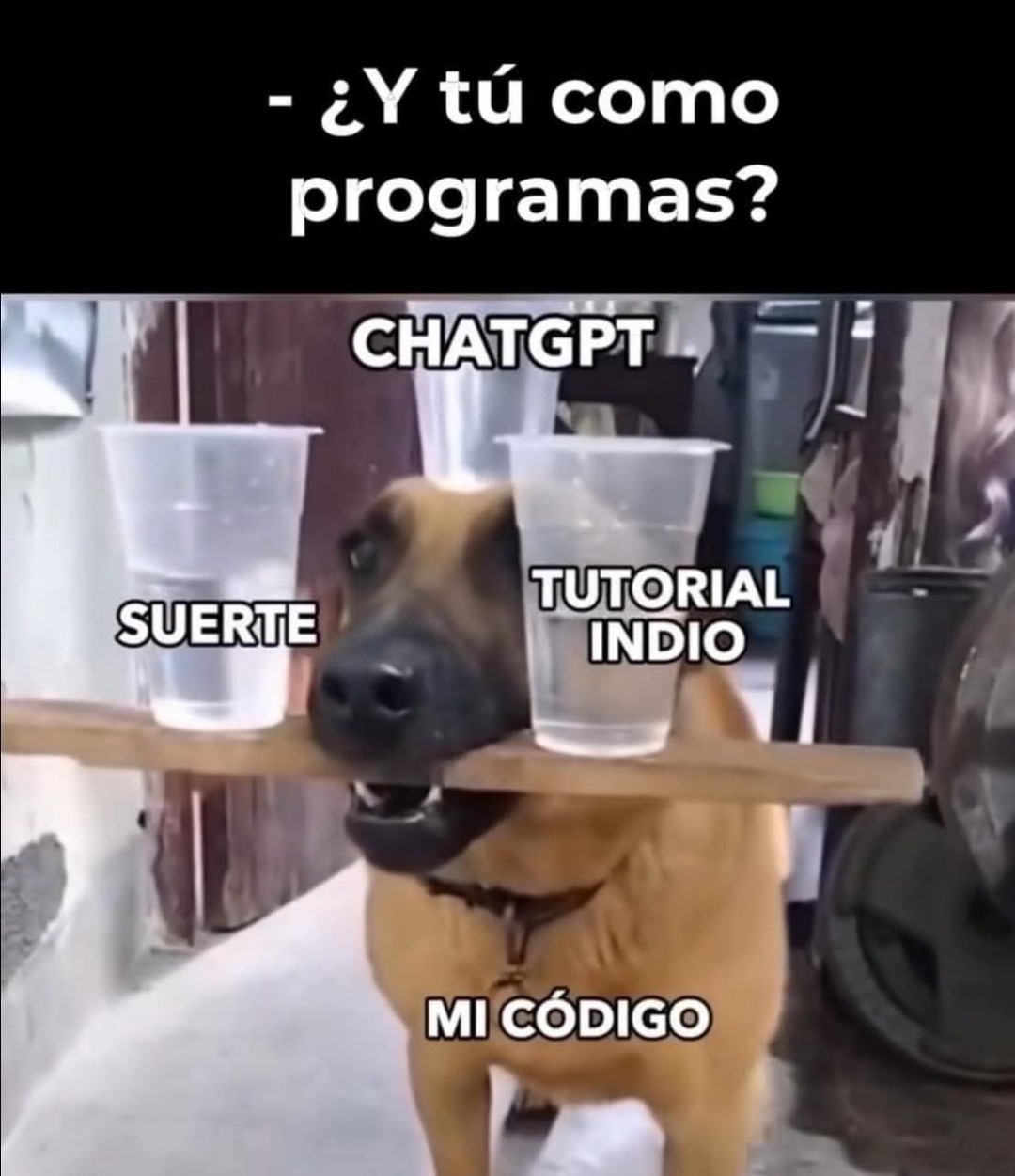 Top memes de Programación en español :) Memedroid