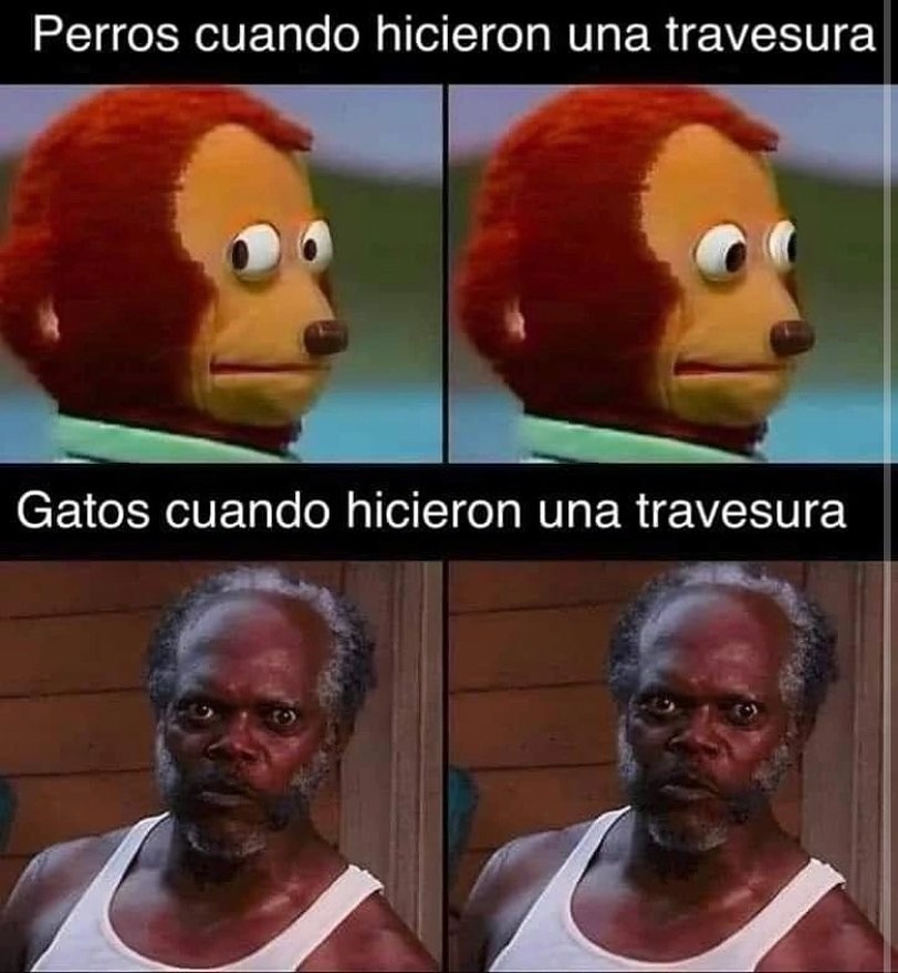 Los Últimos Memes :) Memedroid