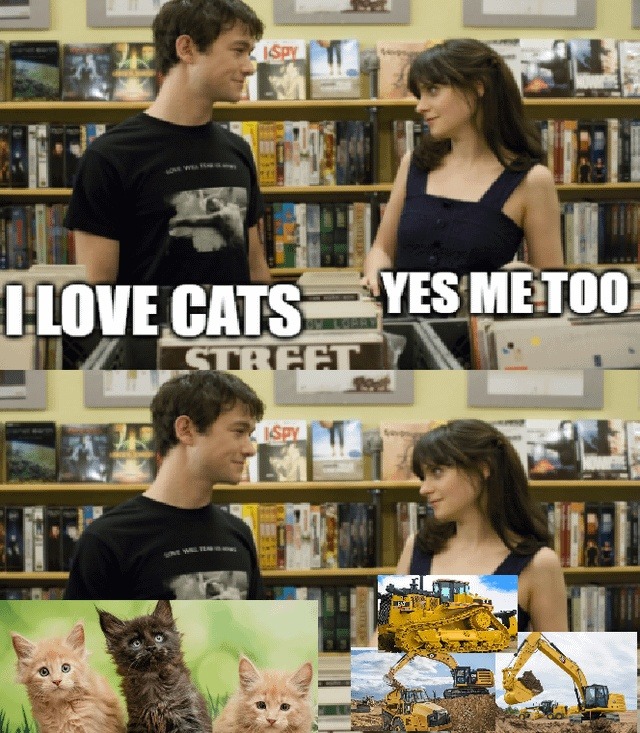 The best cat memes
